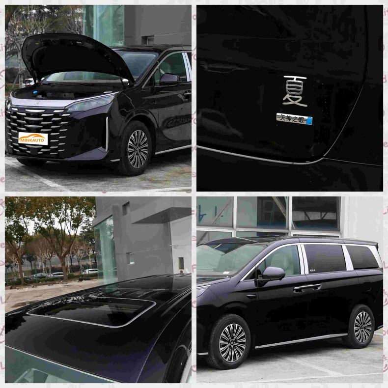 2025 byd new mpv 7seats with 180km ev 1.5T xia dmi plug in hybrid ...